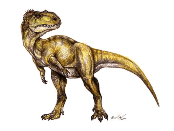 Doratodon – Magyar Dinoszaurusz-kutató Expedíció