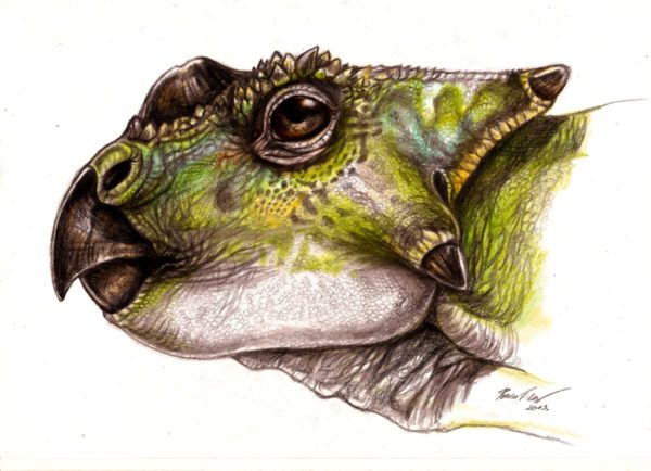Doratodon – Magyar Dinoszaurusz-kutató Expedíció